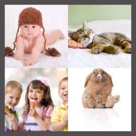 4 Pics 1 Word Level 2890 - Level Answers